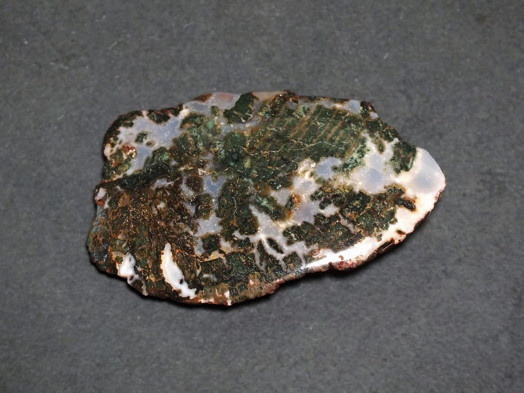 Green Jasper and Agate Limb Cast - Hampton Butte Oregon. 38-30 Million ...