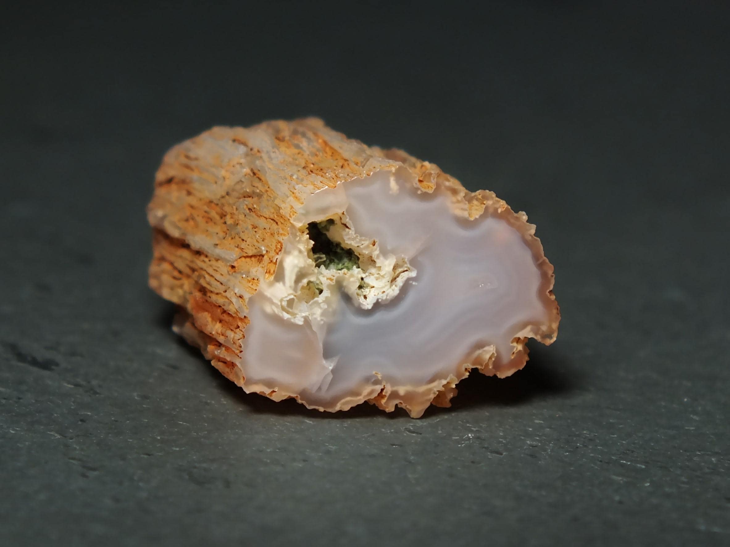 3 Pink Agate Limb Casts South Fork Crooked River Paulina Oregon, Late ...