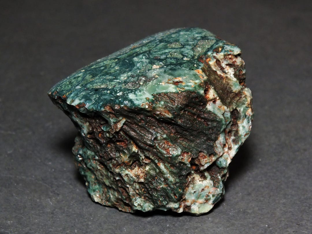 Hampton Butte Green Jasper Limb Cast: 38-30 Million Years Old. - Etsy