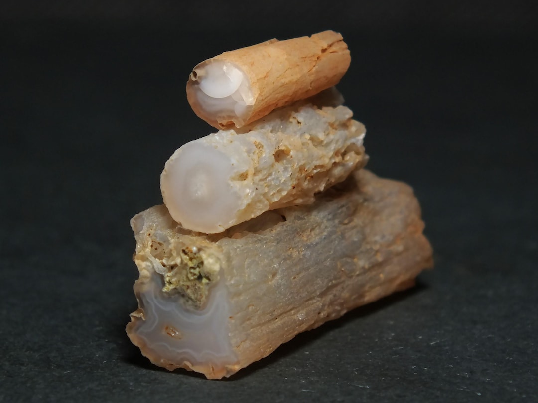 3 Pink Banded Agate Limb Casts South Fork Crooked River Paulina Oregon ...