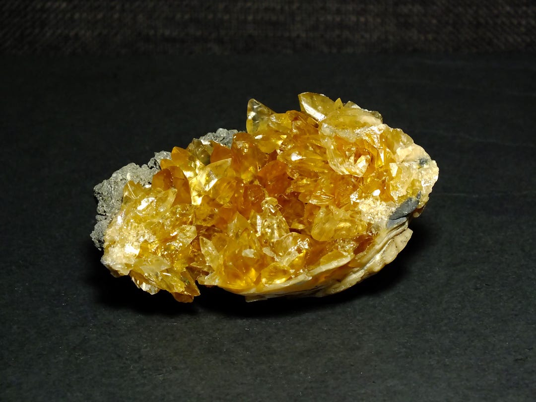 Fossil Clam Shell With Calcite Crystals Rucks Pit Florida 2 Million ...