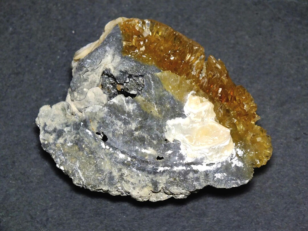 Fossil Clam Shell With Calcite Crystals Rucks Pit Florida 2 Million ...