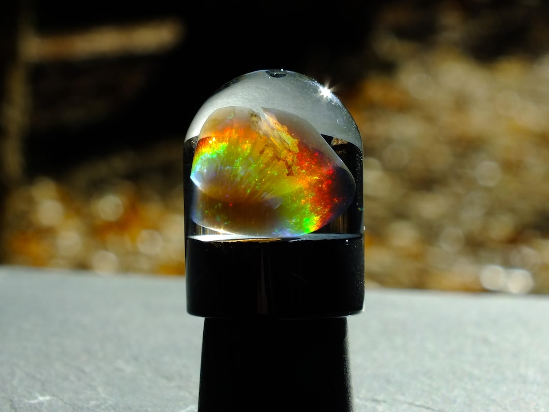 Contraluz Precious Opal From Virgin Valley, Dark Opal Replaced Wood ...