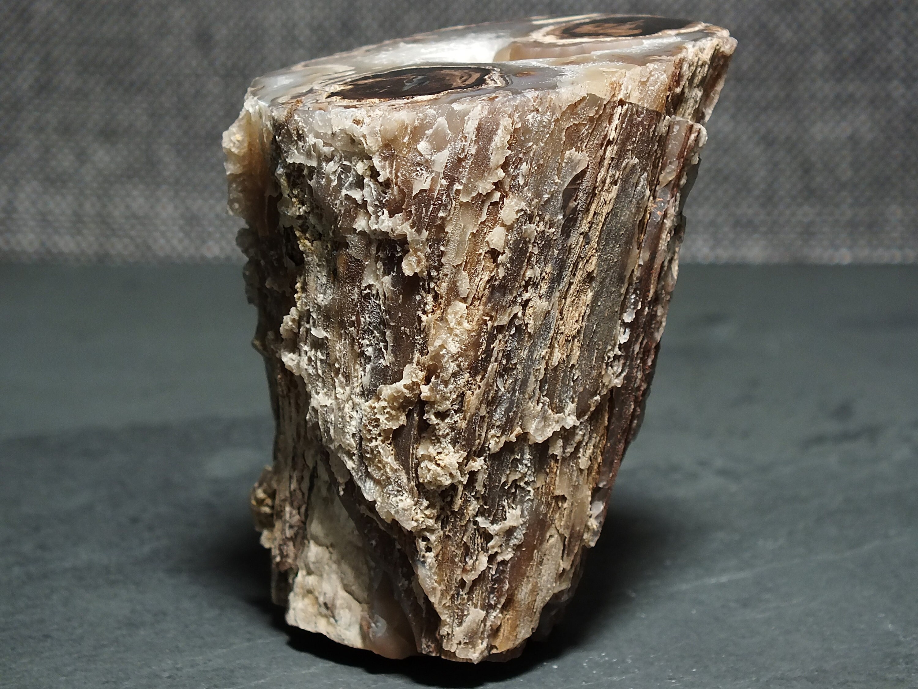 Unique Agatized Blue Forest Specimen With Two Petrified Wood Cores - Etsy