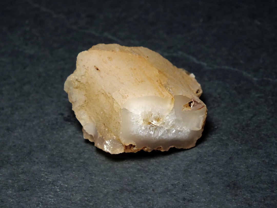 Agate Limb Cast With Quartz Crystal Cavity - Crooked River Oregon - Etsy