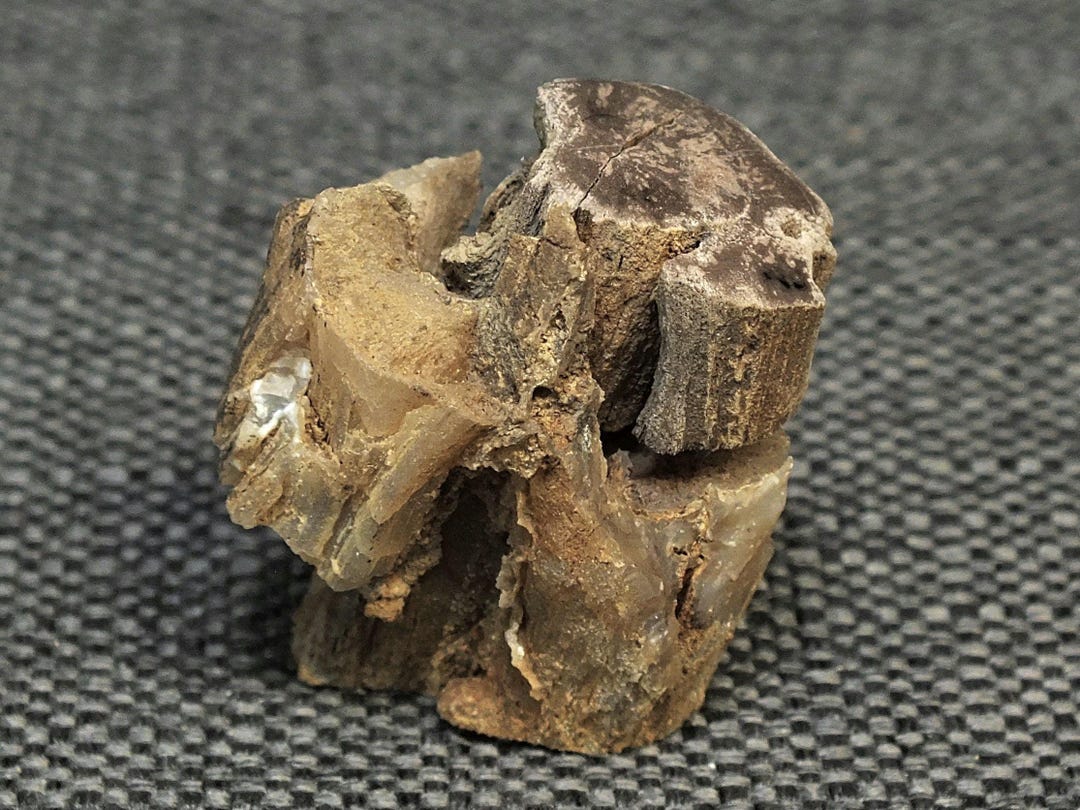 Rare Petrified Formation Eden Valley Wyoming Removable Wood Core Blue ...