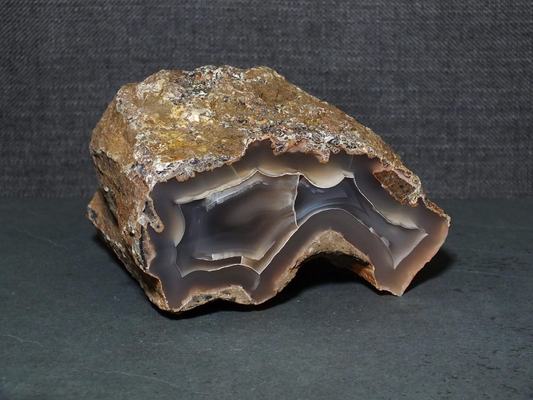 Rare 5 Lb 15 Oz Banded Agate Limb Cast South Fork Crooked River Paulina ...