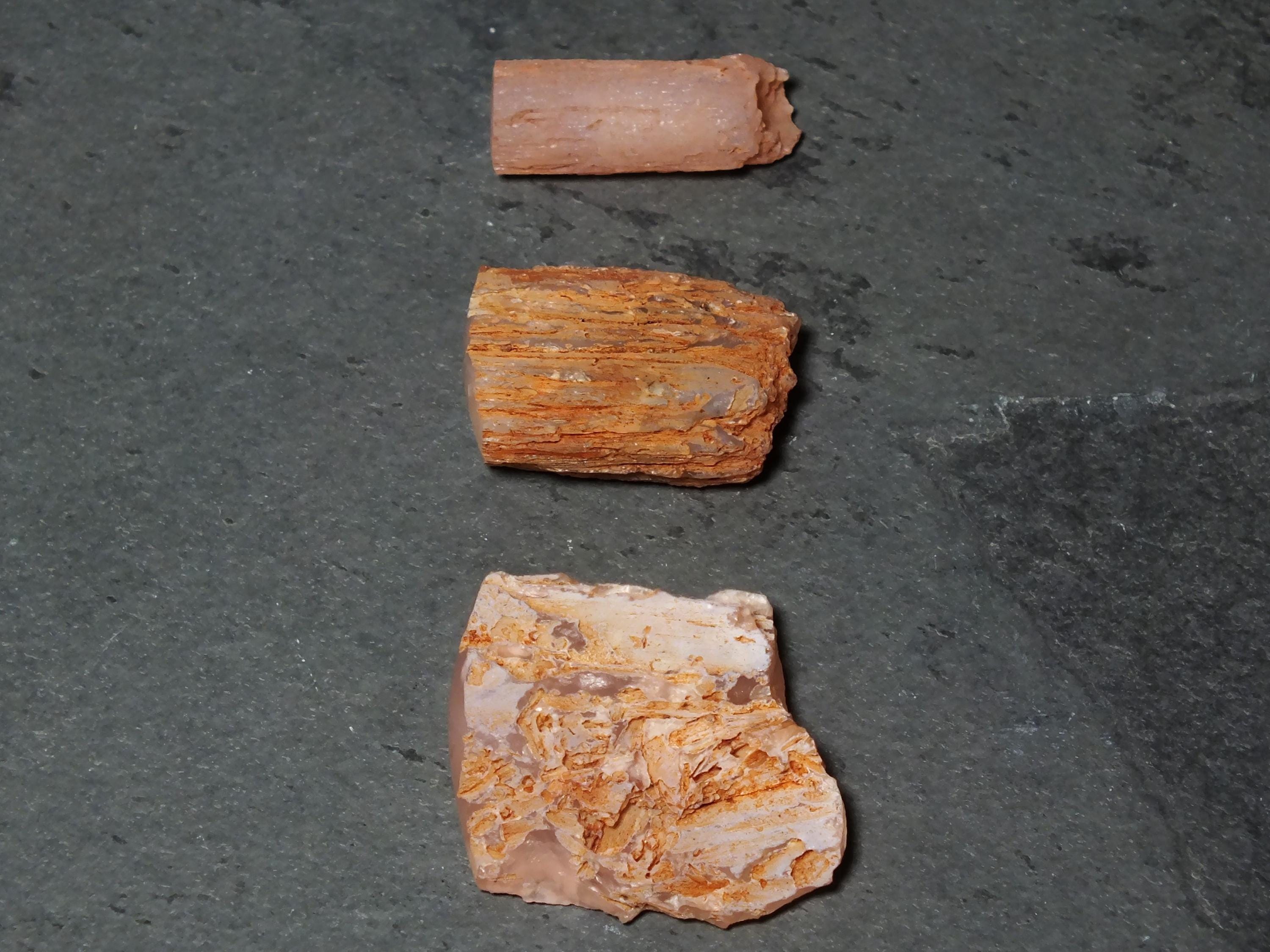 3 Pink Agate Limb Casts South Fork Crooked River Paulina Oregon, Late ...