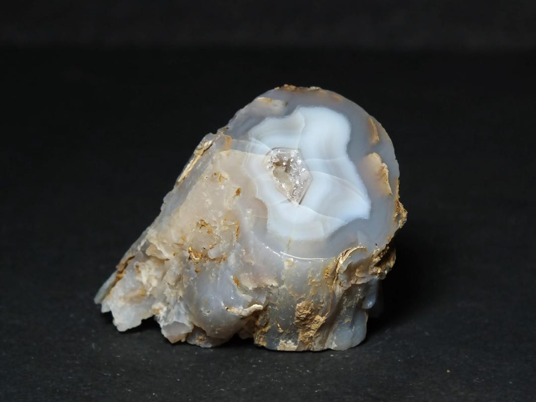 Banded Agatized Limb Cast With Crystal Cavity, Unique Blue Forest ...