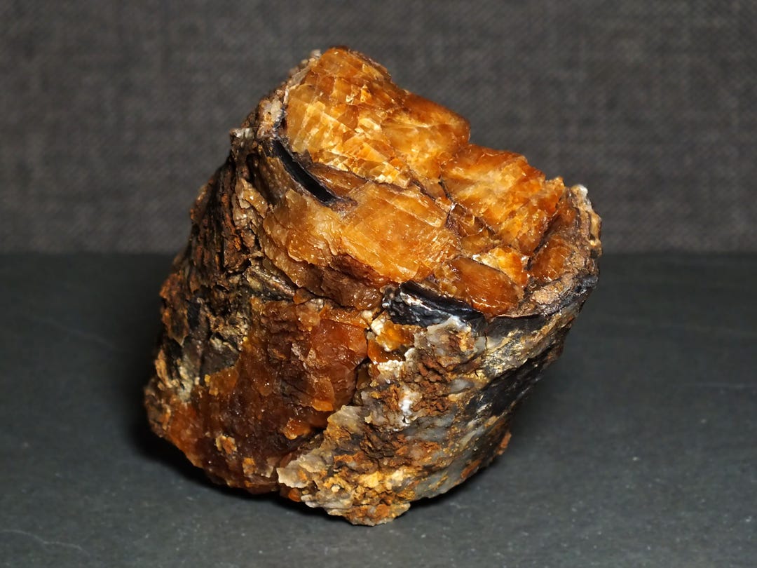 Rare 1.5 Lb Golden Calcite Limb Cast With Petrified and Agatized Bark ...