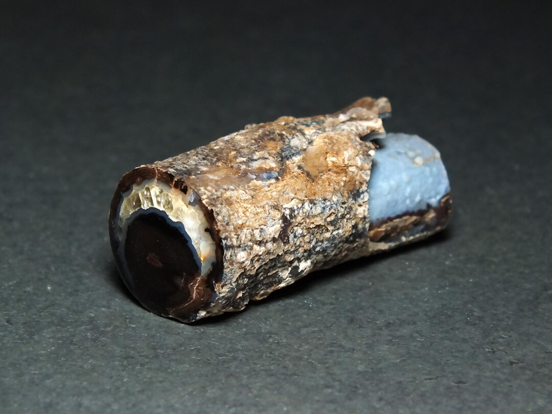 Blue Botryoidal Agatized Petrified Limb With Calcite, Stunning Blue ...