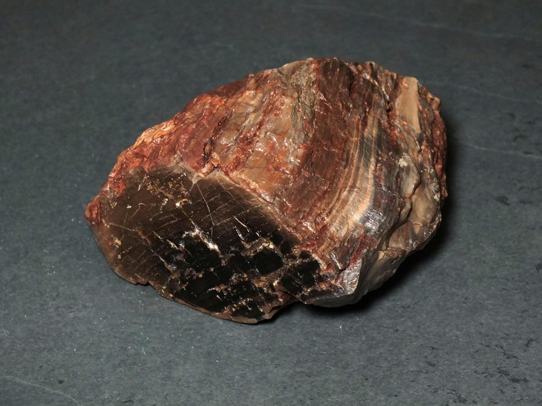 1.6 Lb Hampton Butte Jasper Replaced Limb Cast, Ancient Petrified Wood ...