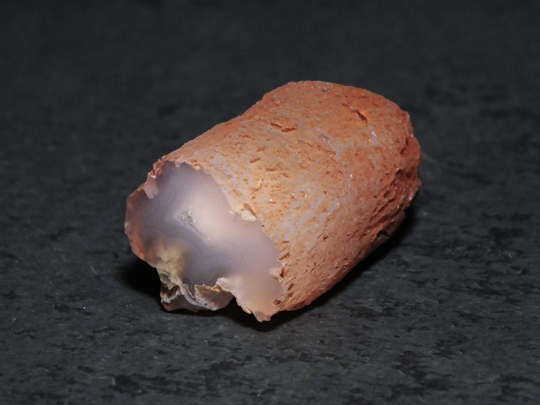 Agate Limb Cast - South Fork Crooked River Oregon, 38-30 Million Years ...