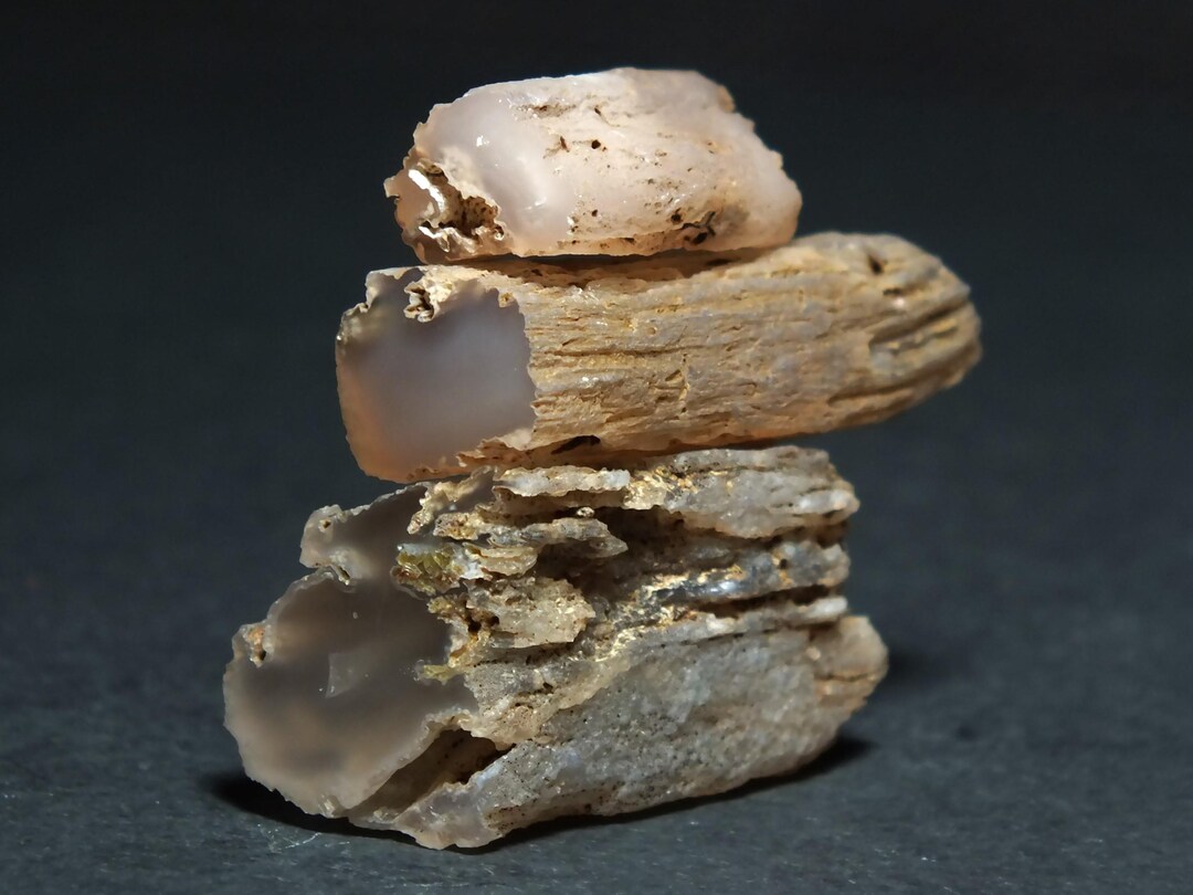 3 Small Agate Limb Casts South Fork Crooked River Paulina Oregon, Late ...