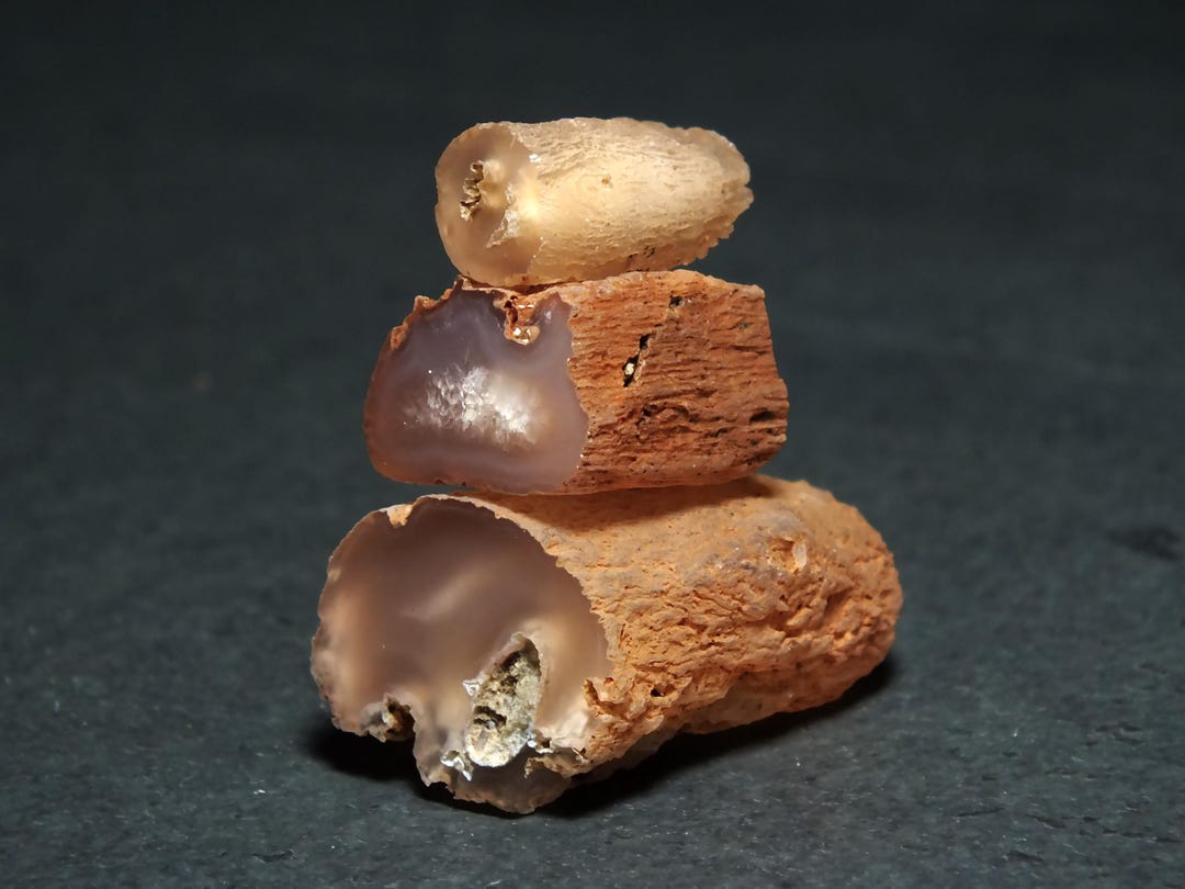 3 Small Agate Limb Casts South Fork Crooked River Paulina Oregon, Late ...