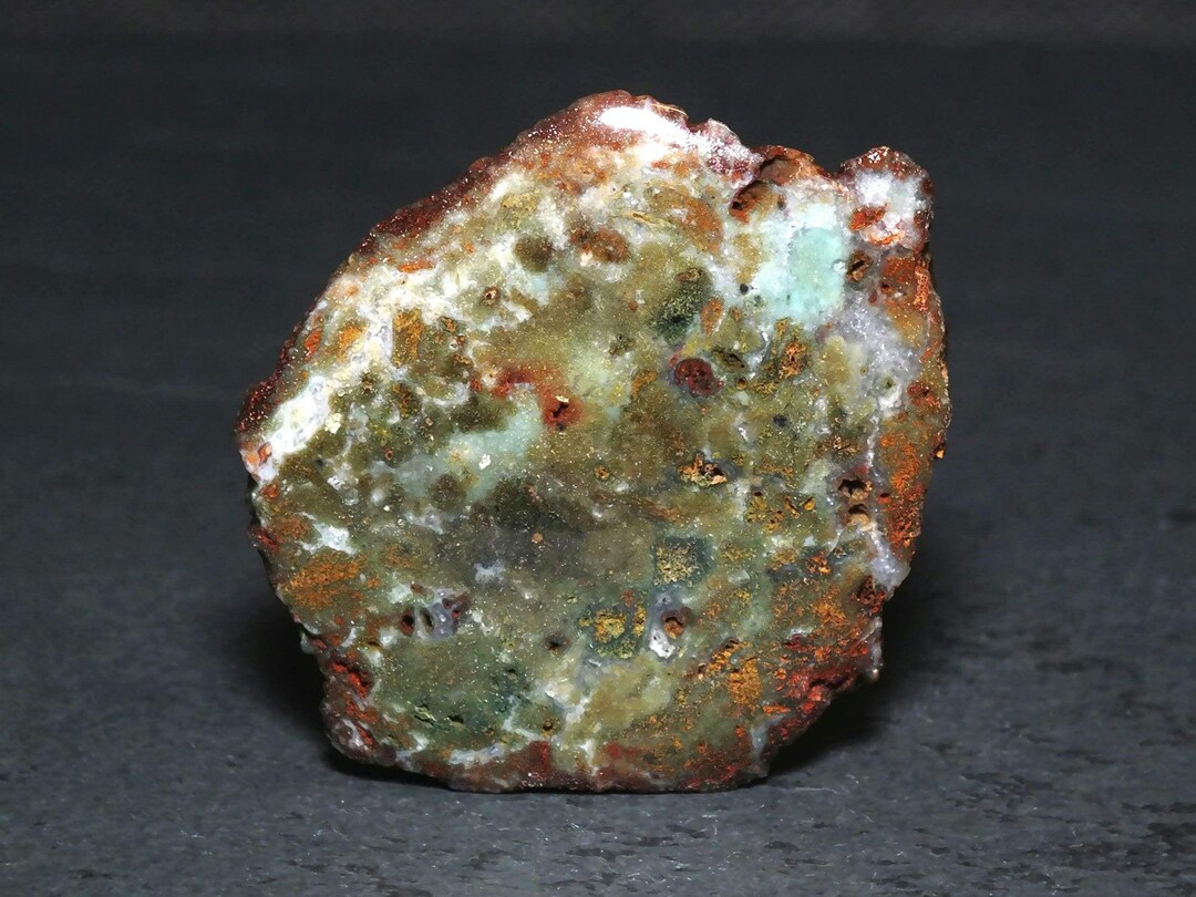 Hampton Butte Jasper Replaced Limb Cast End Cut Oregon, Late Eocene to ...