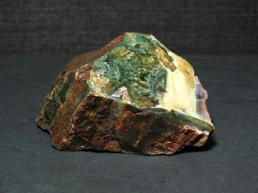 1.9 Lb Hampton Butte Jasper and Agate Replaced Limb Cast, Ancient ...