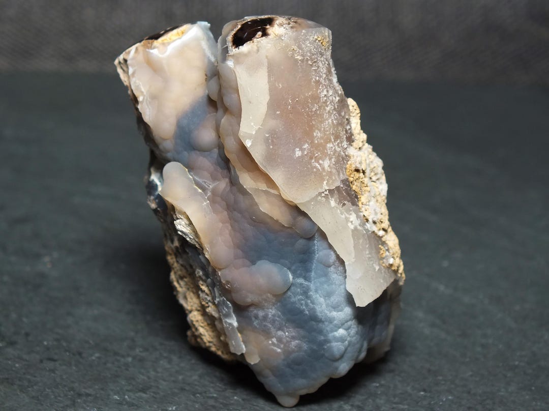 Agatized Petrified Wood Blue Forest Unique Botryoidal Agate Fossil ...