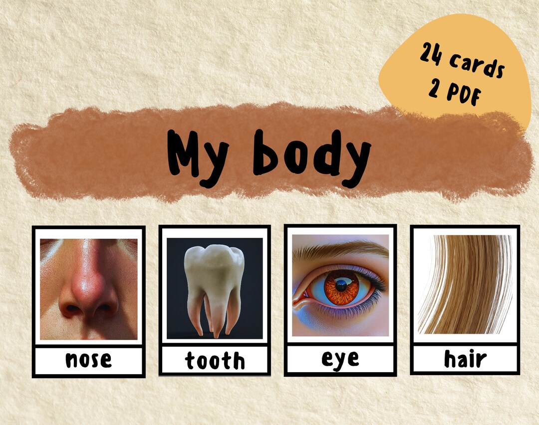 Flashcards My Body Memory Game for Free English 24 Cards Printable - Etsy