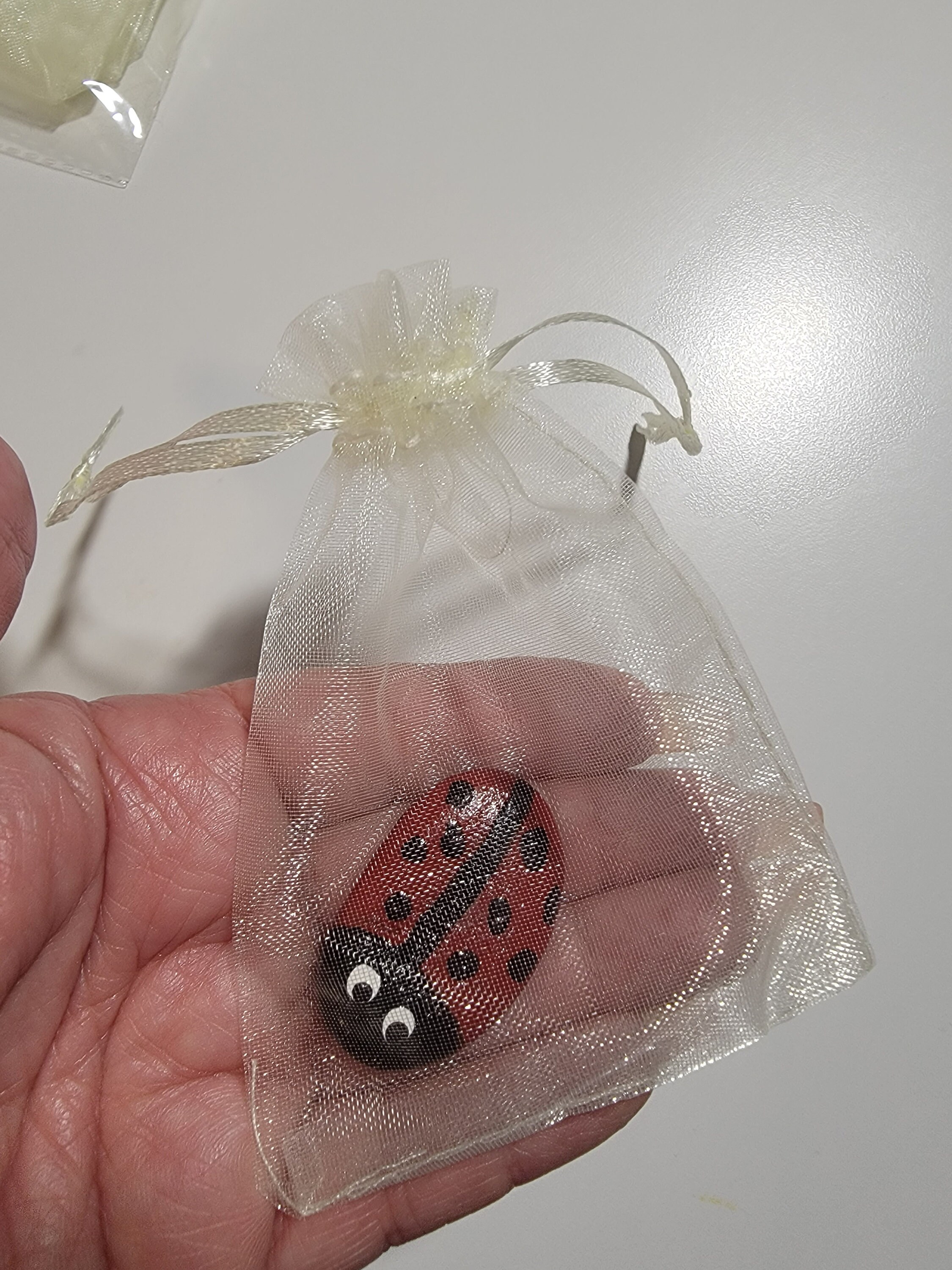 Ladybug Rocks, Worry Rock, Anxiety Stone, Kindness Garden Stones ...