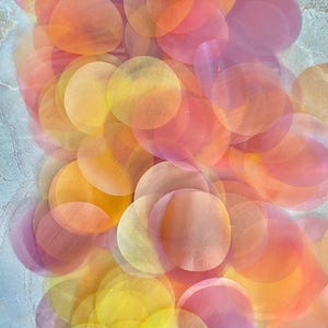 Rice Paper Confetti Biodegradable Water Soluble Confetti for Wedding ...