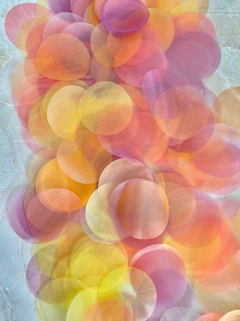 Biodegradable Rice Paper Confetti: Water Soluble, Eco Friendly Wedding ...