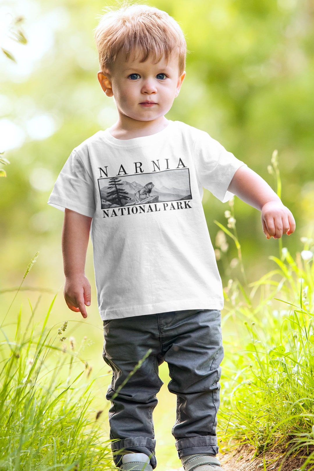 Narnia National Park Shirt | C.S. Lewis | Book Lovers | Chronicles of ...