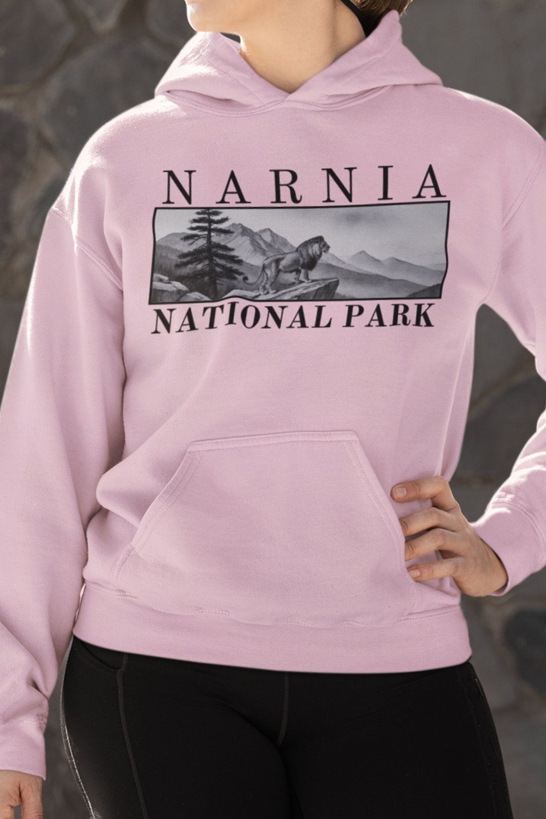 Narnia National Park Hoodie | C.S. Lewis | Book Lovers | Chronicles of ...