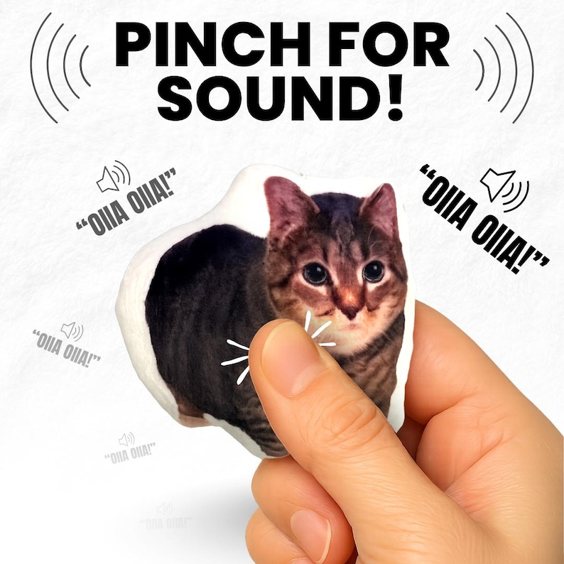 OIIA Spinning Cat Meme Keychain - Viral Sound Keychain With OIIA OIIA ...