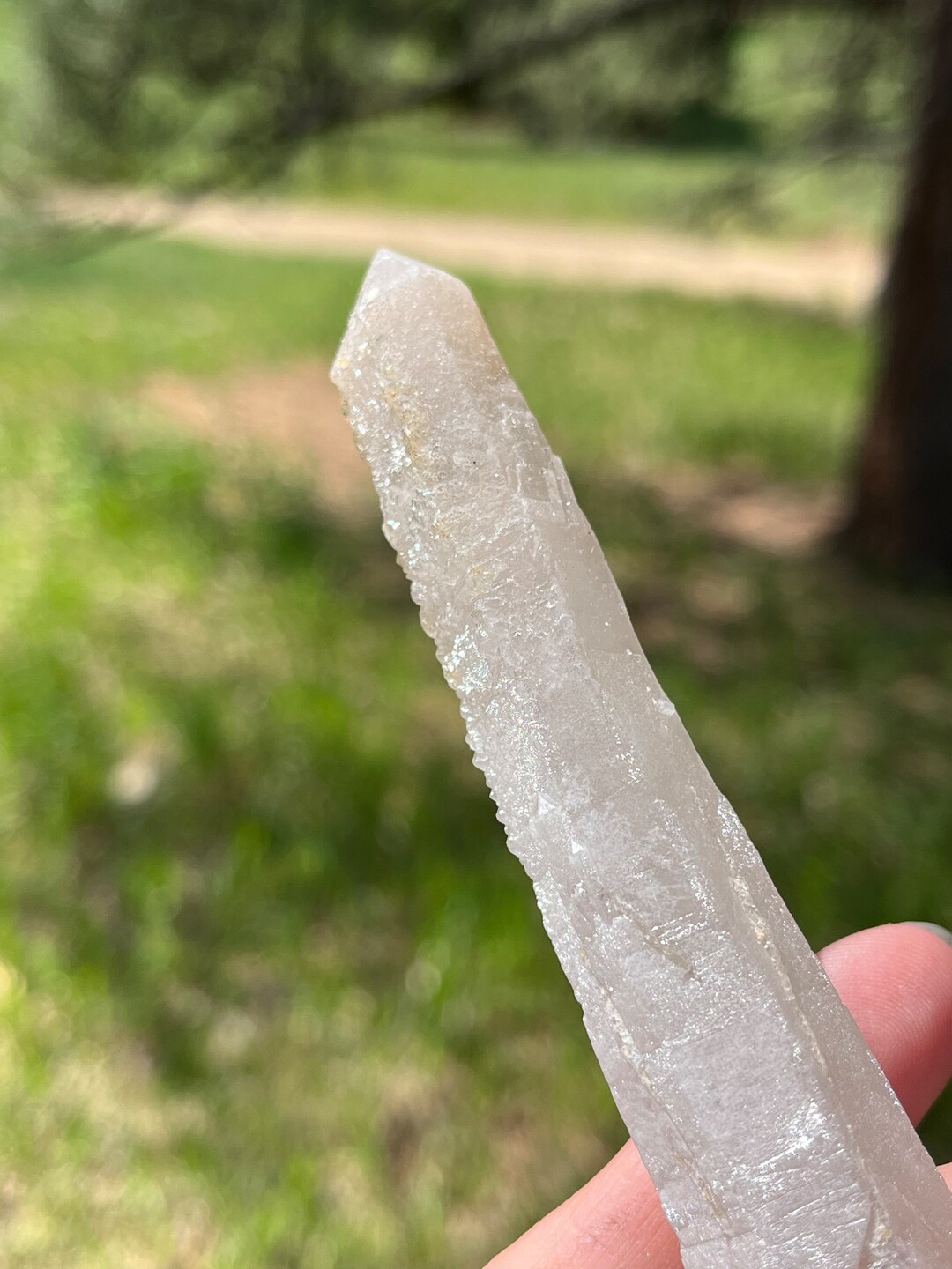 Mongolian Hydrothermal Etched Quartz Wand Crystal Clear Point Laser - Etsy