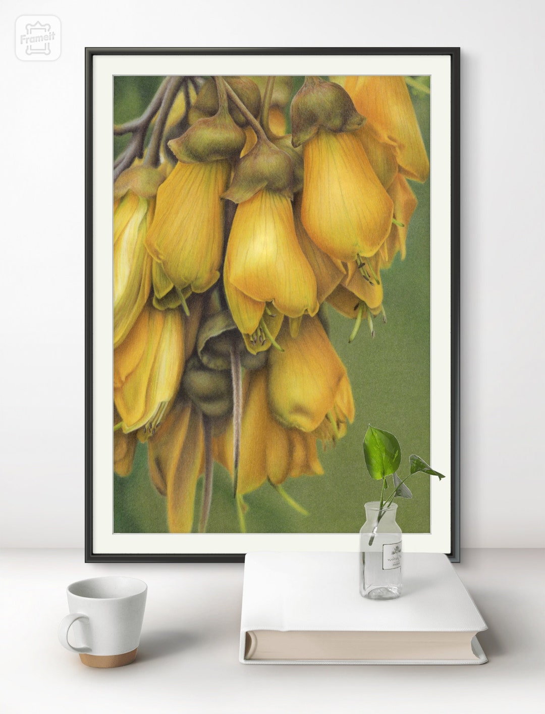 New Zealand Kowhai Flowers - Art Print - Etsy