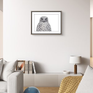 New Zealand Morepork Ruru Owl - NZ Art Print - Etsy