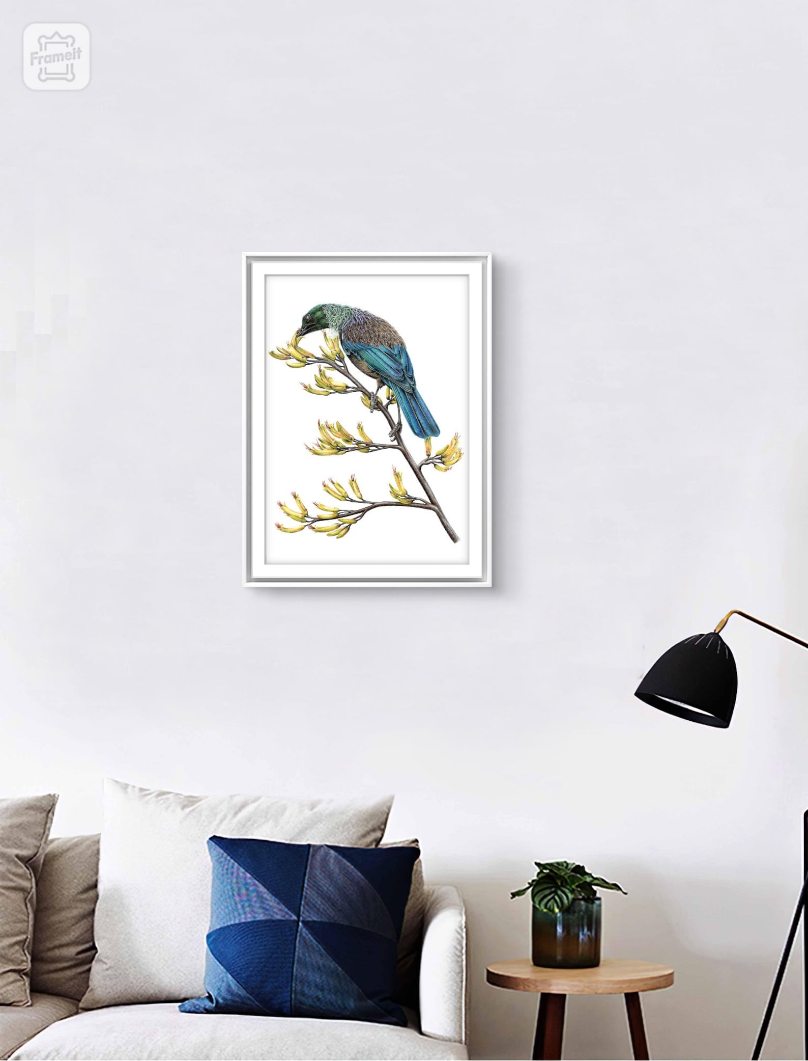 New Zealand Tui on Flax - NZ Art Print - Etsy