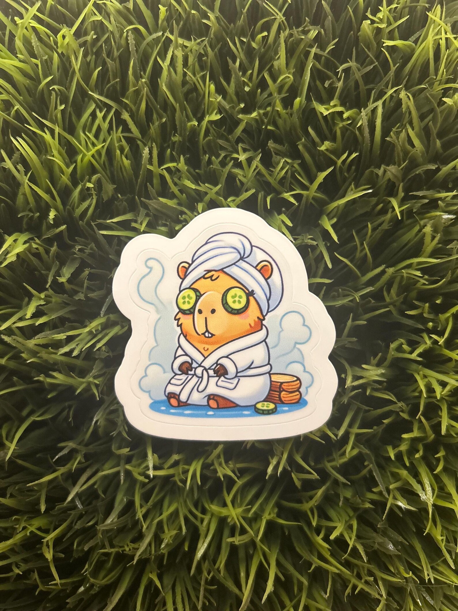 Capybara Spa Day Sticker, Relaxation, Cute Animal - Etsy