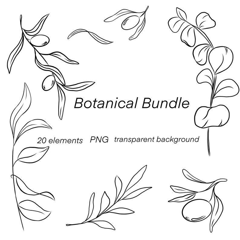 Botanical Line Art Bundle - Etsy