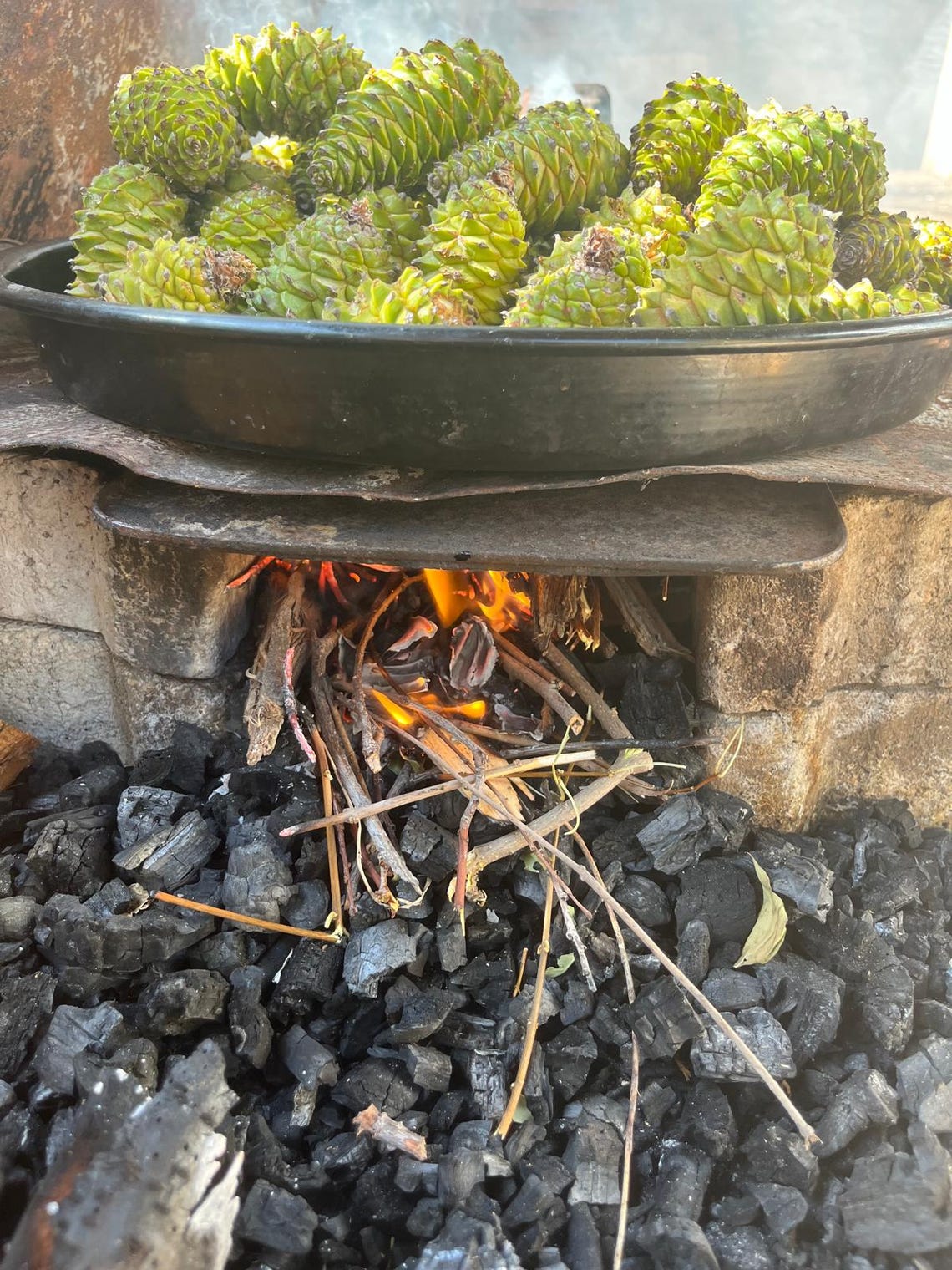 Natural-organic Pine Cone Syrup /pine Cones Collected From the ...