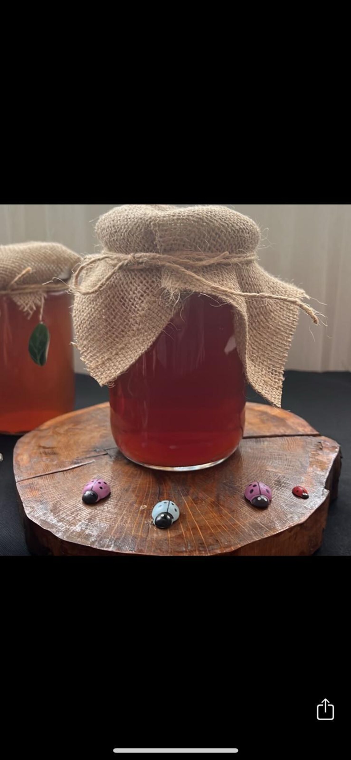 Natural-organic Pine Cone Syrup /pine Cones Collected From the ...