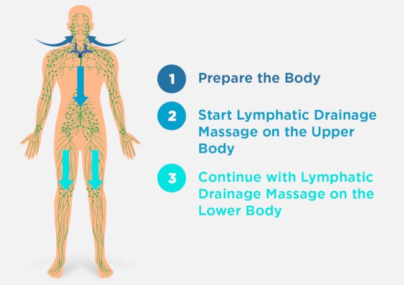 Manual Lymphatic Drainage Training Manual - Etsy