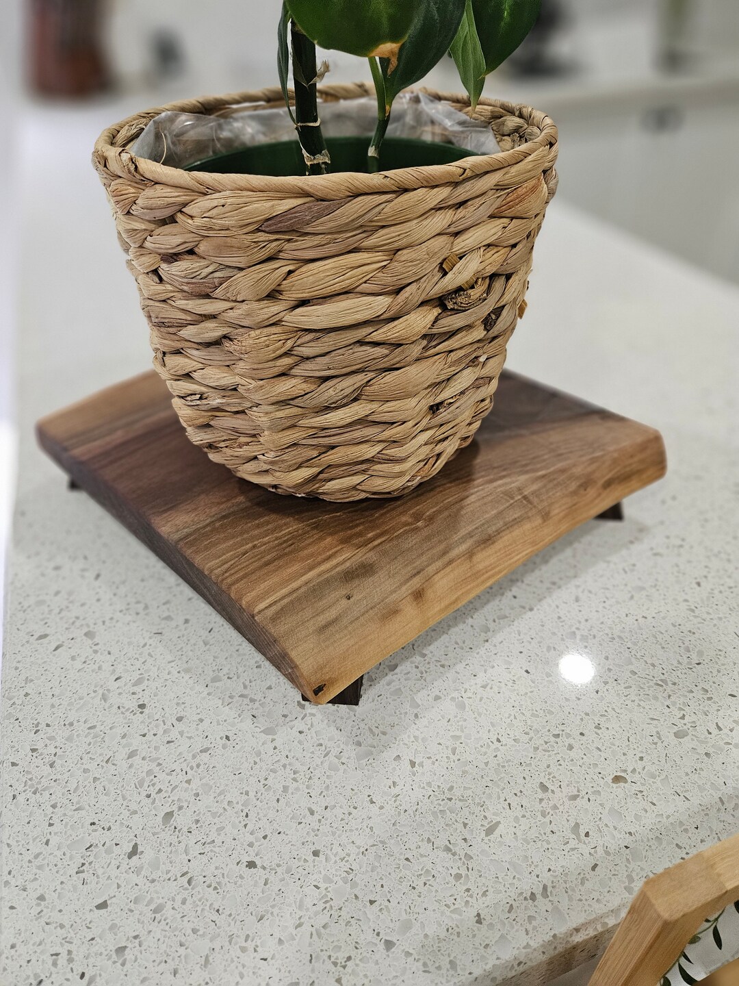 Walnut Wood Plant Riser Live Edge Wood Table Riser Stand for Plants ...