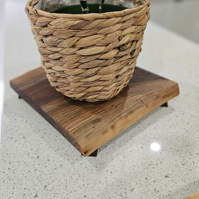 Plant Riser - Etsy