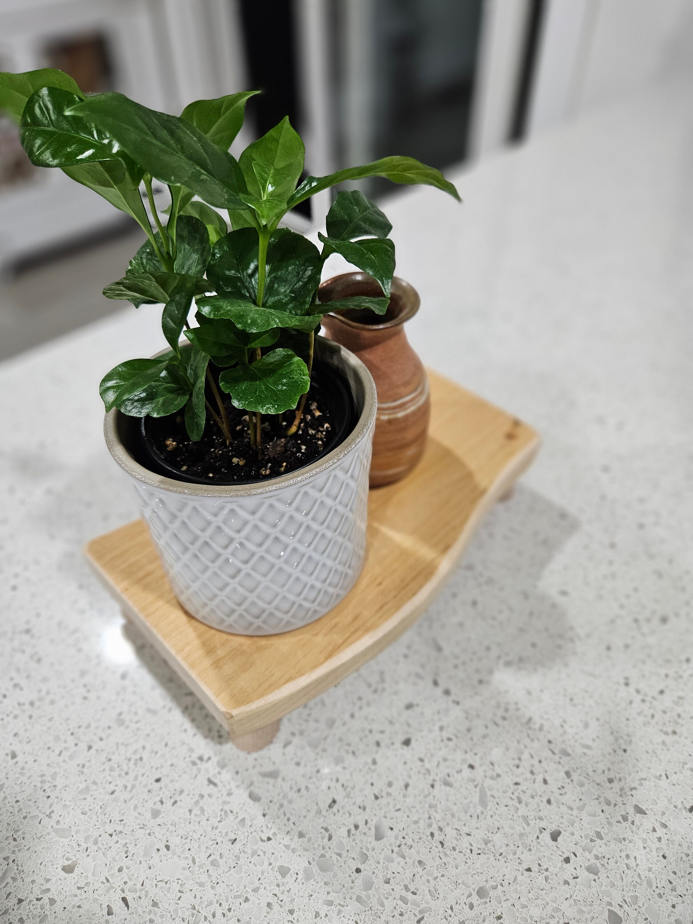Wavy Plant Stand Wood Plant Riser Wavy Tray for Plant Pot Holder Dining ...