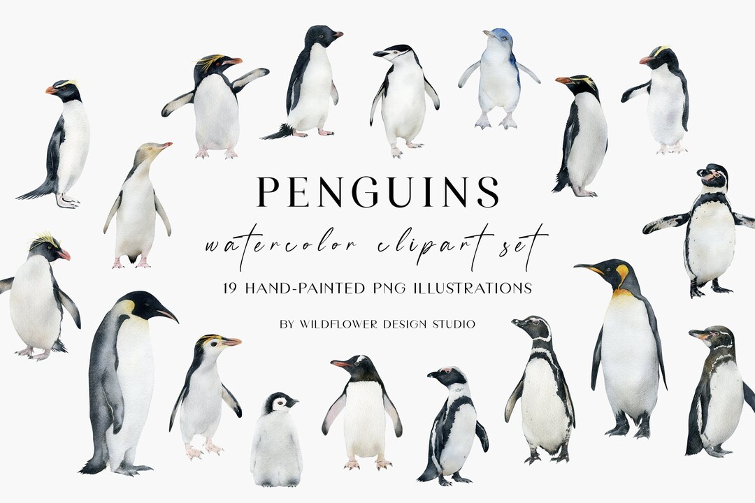 Watercolor Penguin Clipart Png. Hand-drawn King, Gentoo, Adelie ...