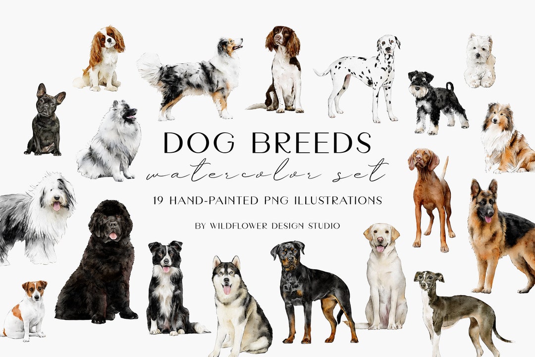 Watercolor Dog Breeds Clipart Png. Hand-drawn Illustrations. Digital ...
