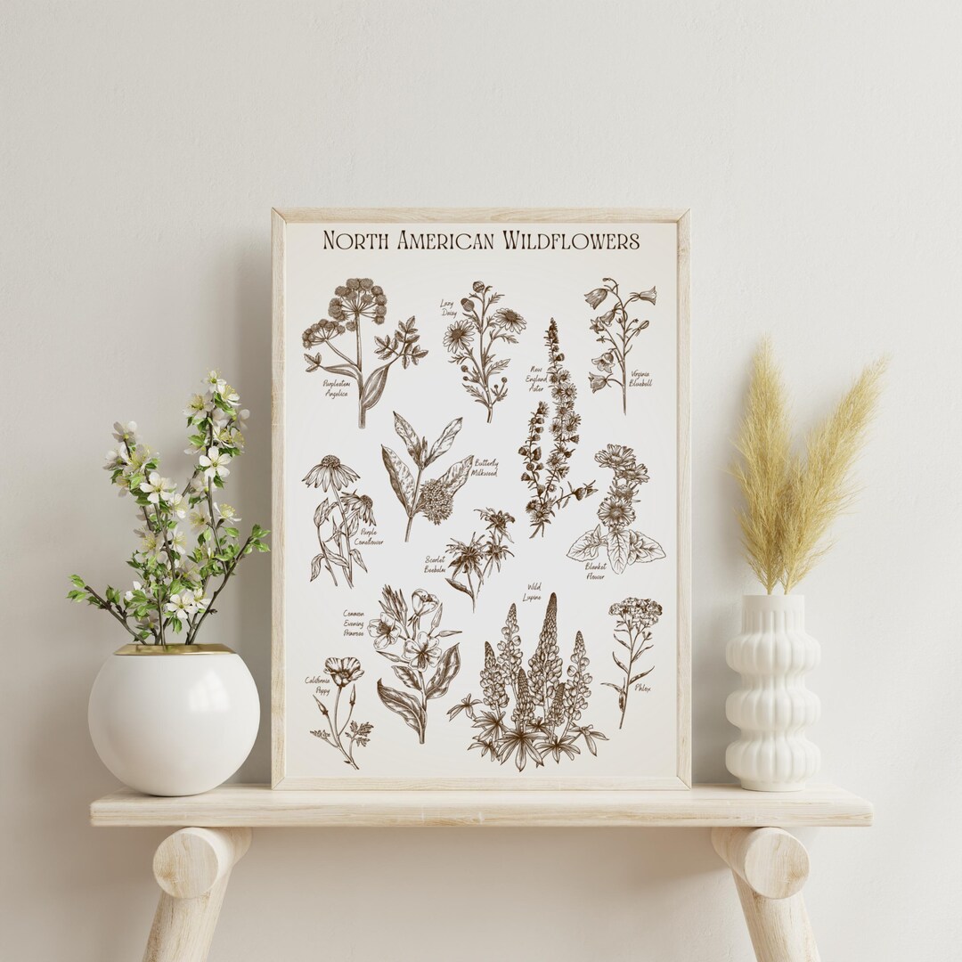 North American Wildflower Poster, Native Flowers Collage Wall Art ...