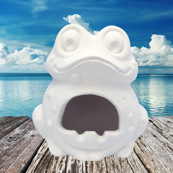 Bisque Unpainted Frog Sponge Holder - Etsy