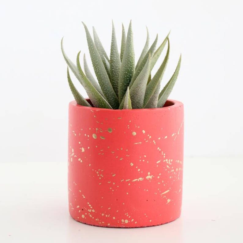Small Gold Splatter Planter Cement and Ceramic Indoor and | Etsy