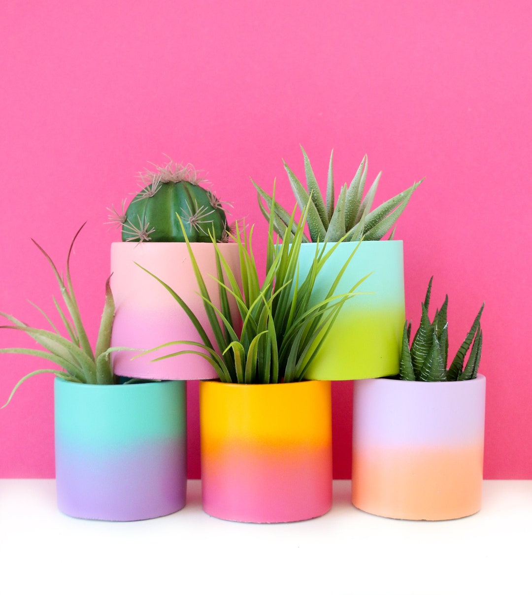 Small Gradient Ombre Planter - Cement or Ceramic - Indoor or Outdoor ...