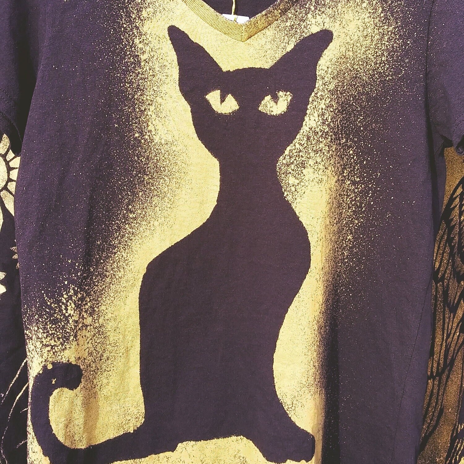 Dyed Cats For Halloween