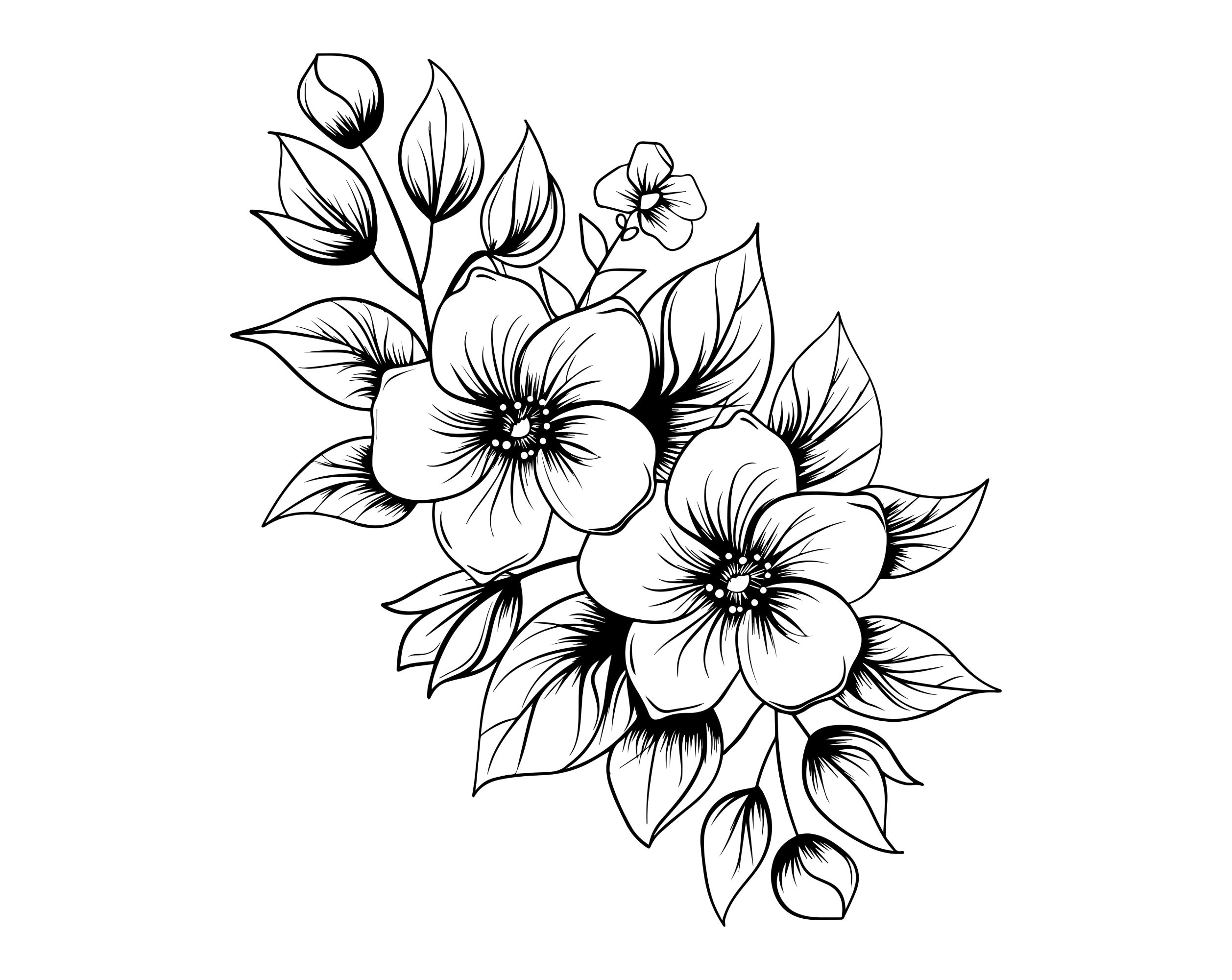 Floral Svg, Outline Elegant Floral SVG and PNG for Crafting and Design ...