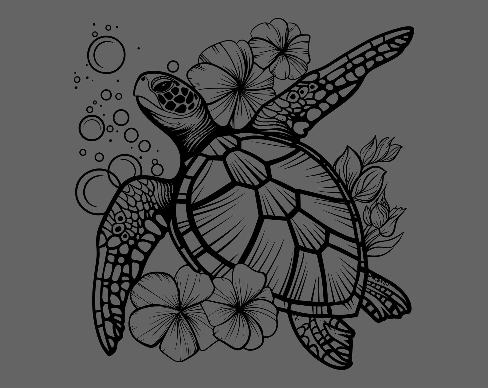 Turtle Svg, Turtle Png, Turtle Outline Svg, Sea Turtle Svg, Cricut Sea ...